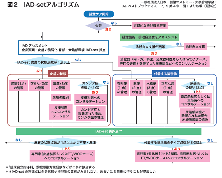 【何ぞやシリーズ第25回】 「IAD重症度スケール（IAD-set）」って何ぞや？ | ナースの星 | -医療従事者・看護師向けのお役立ち情報サイト-